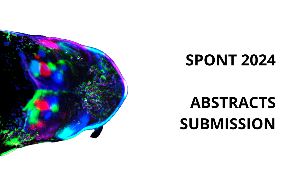ABSTRACTS SPONT 2024